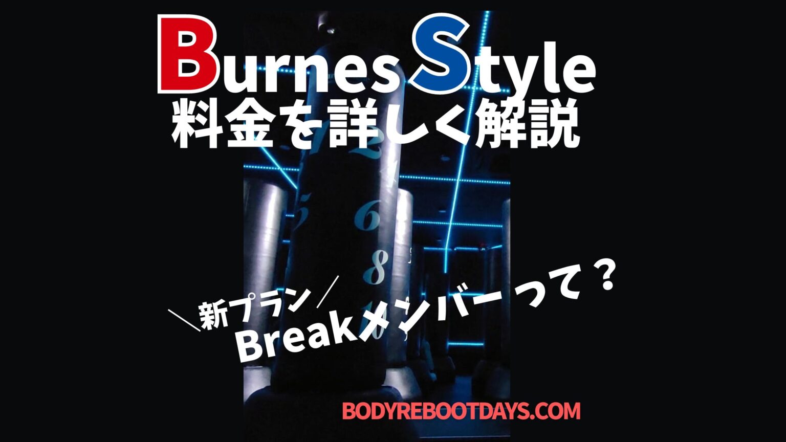 バーネススタイル｜トライアル体験レッスンまでの6ステップ-BurnesStyle | ぴったりエクサ